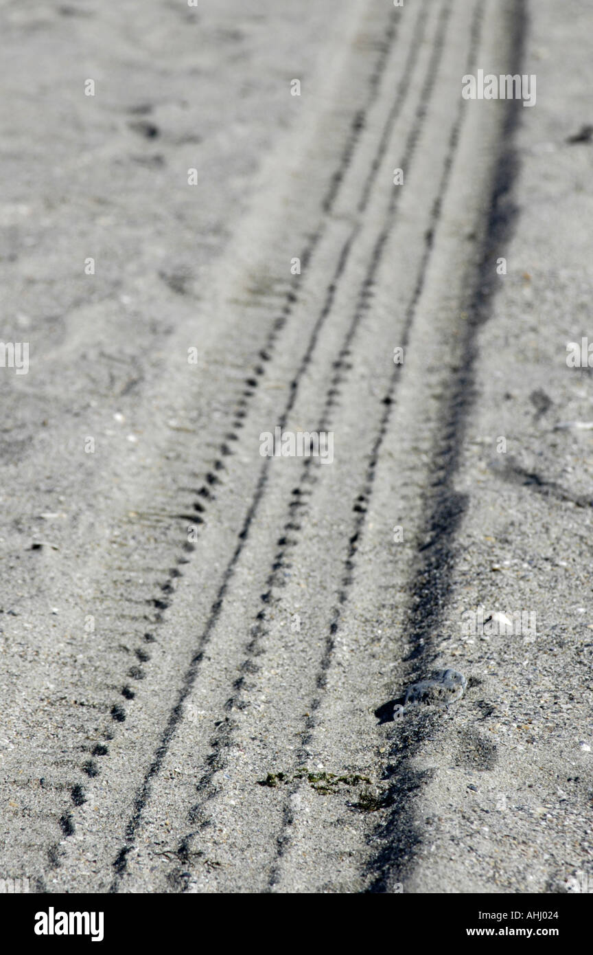 track in the sand Stock Photo - Alamy