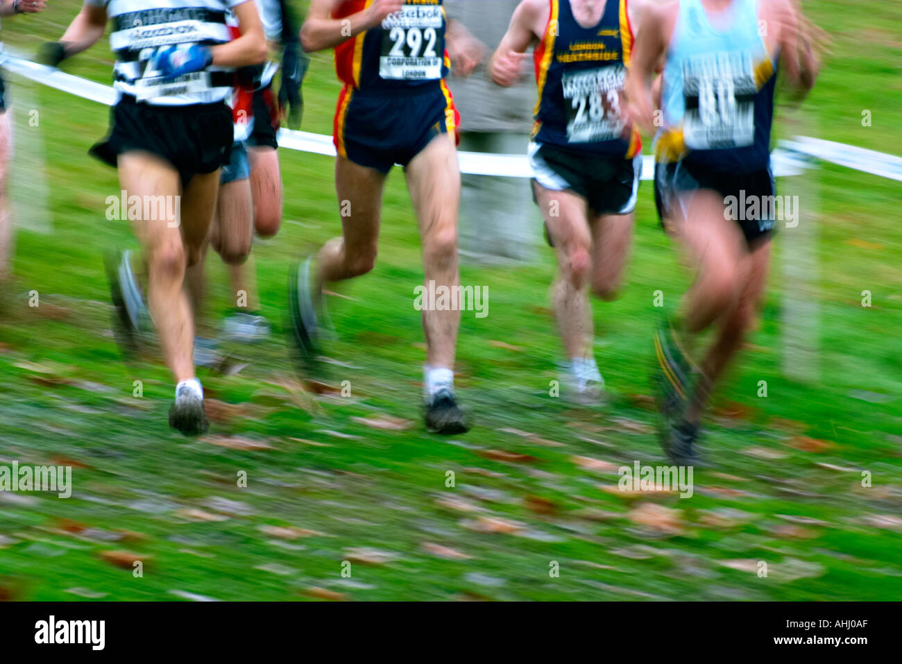 Mens cross training shoes hi-res stock photography and images - Alamy