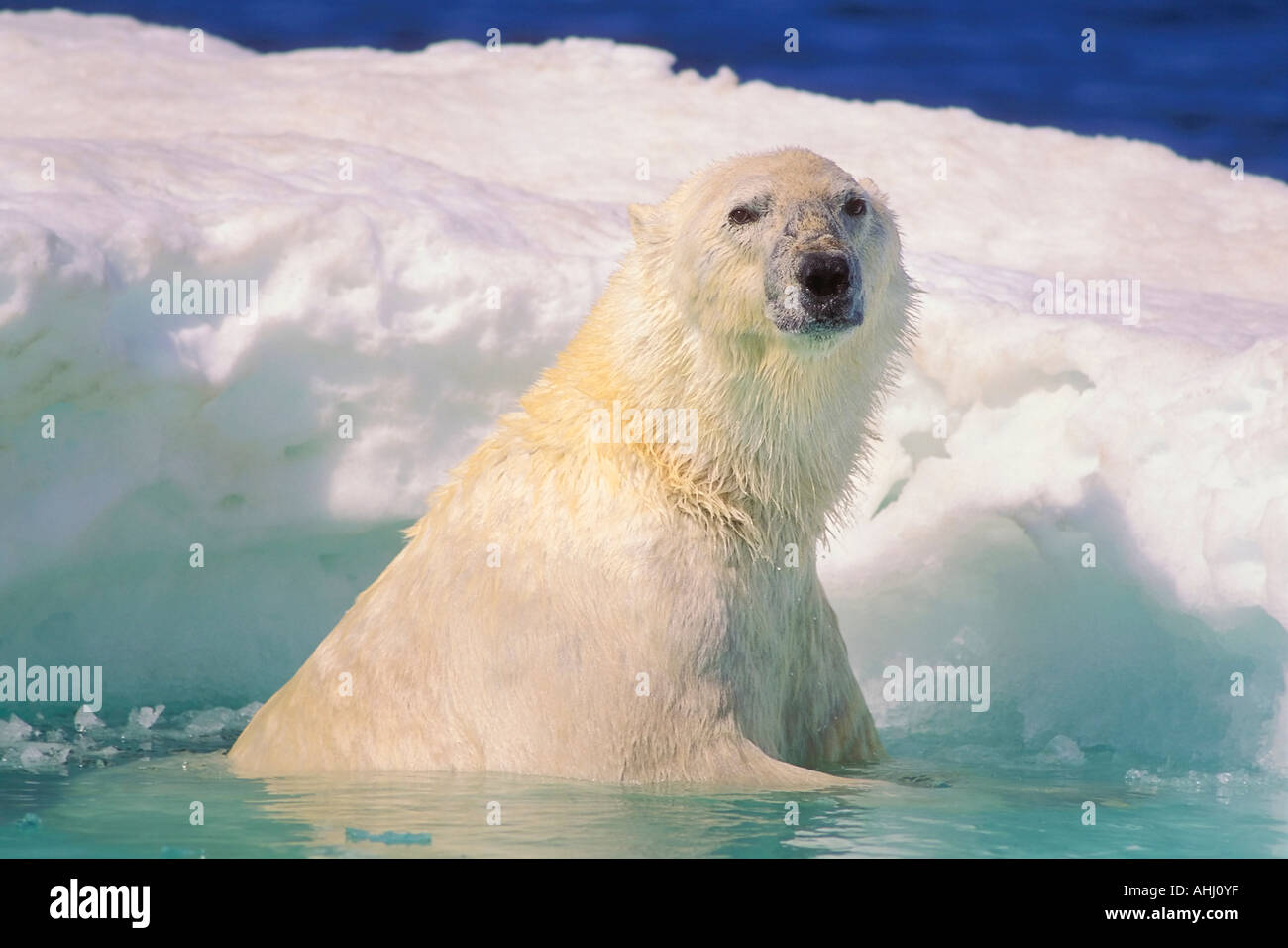 Ice pool hi-res stock photography and images - Alamy