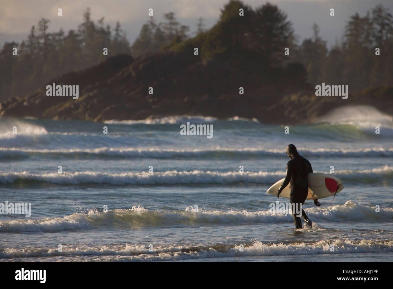 Surfer on the beach Stock Photo - Alamy