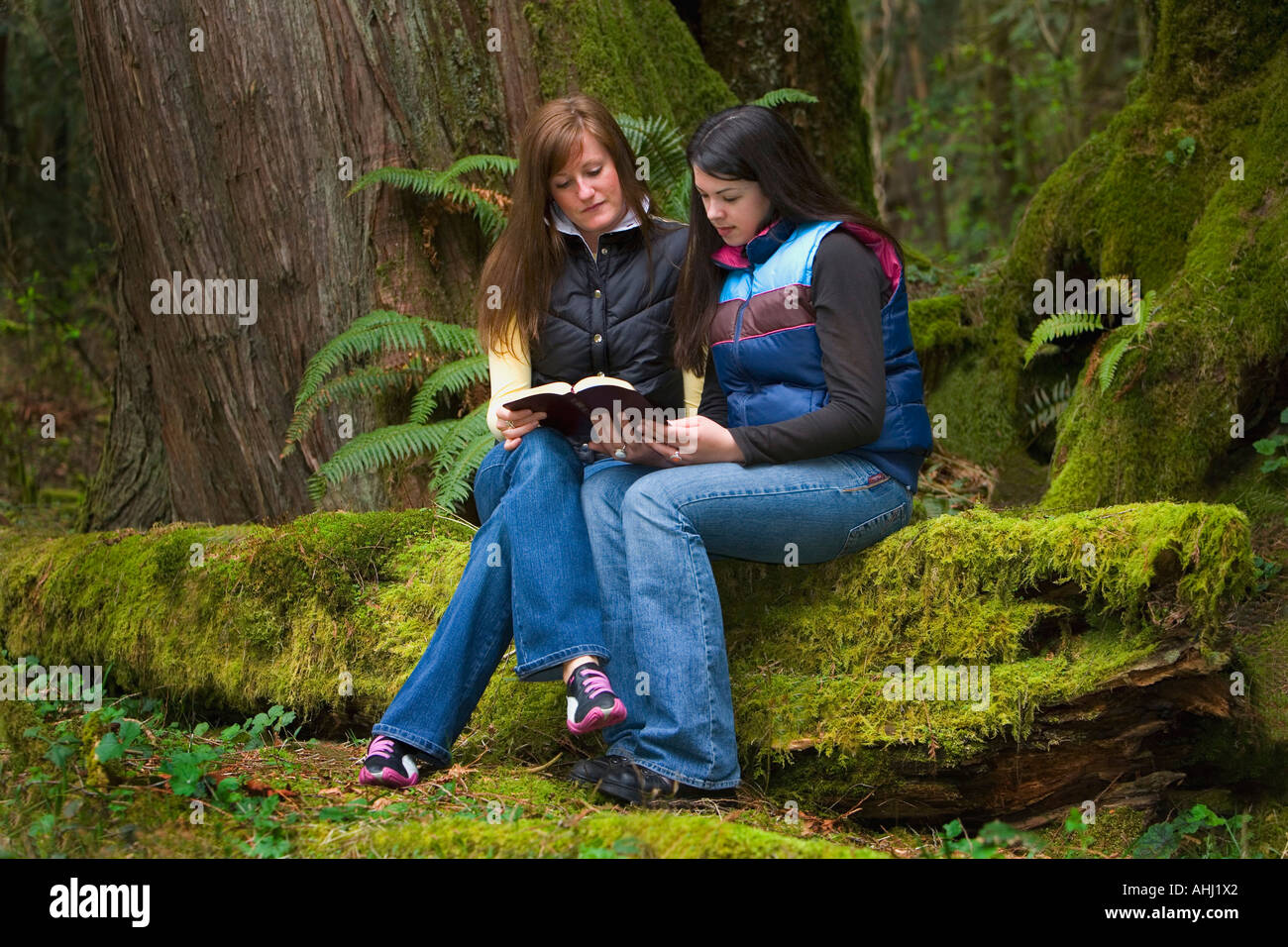 Reading book rain hi-res stock photography and images - Alamy