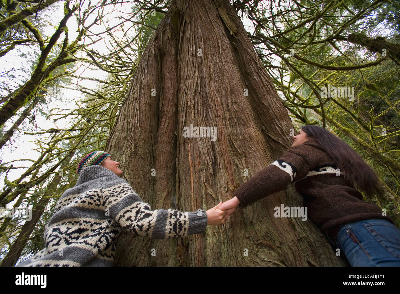Hugging a giant tree Stock Photo - Alamy