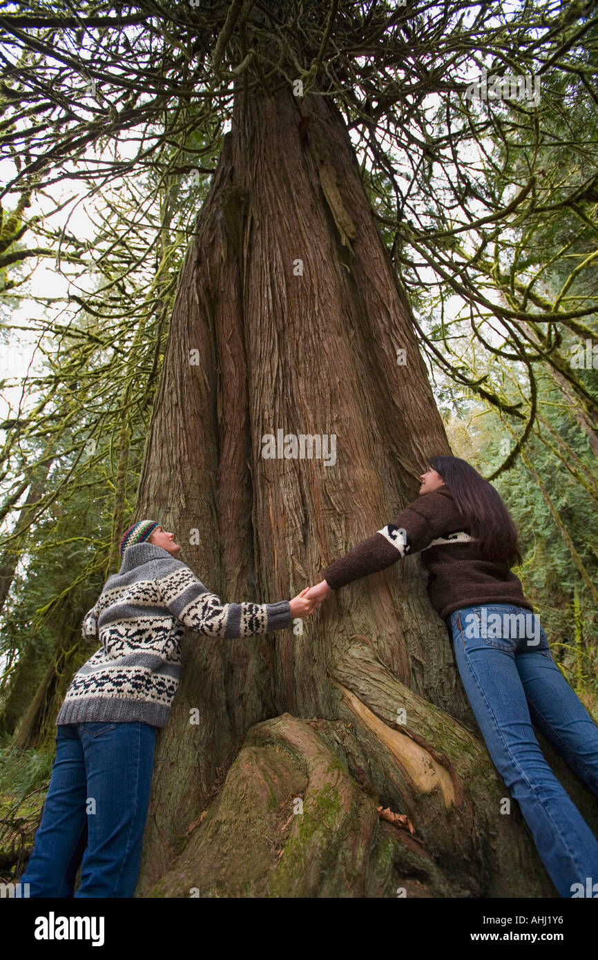 Hugging giant tree hi-res stock photography and images - Alamy