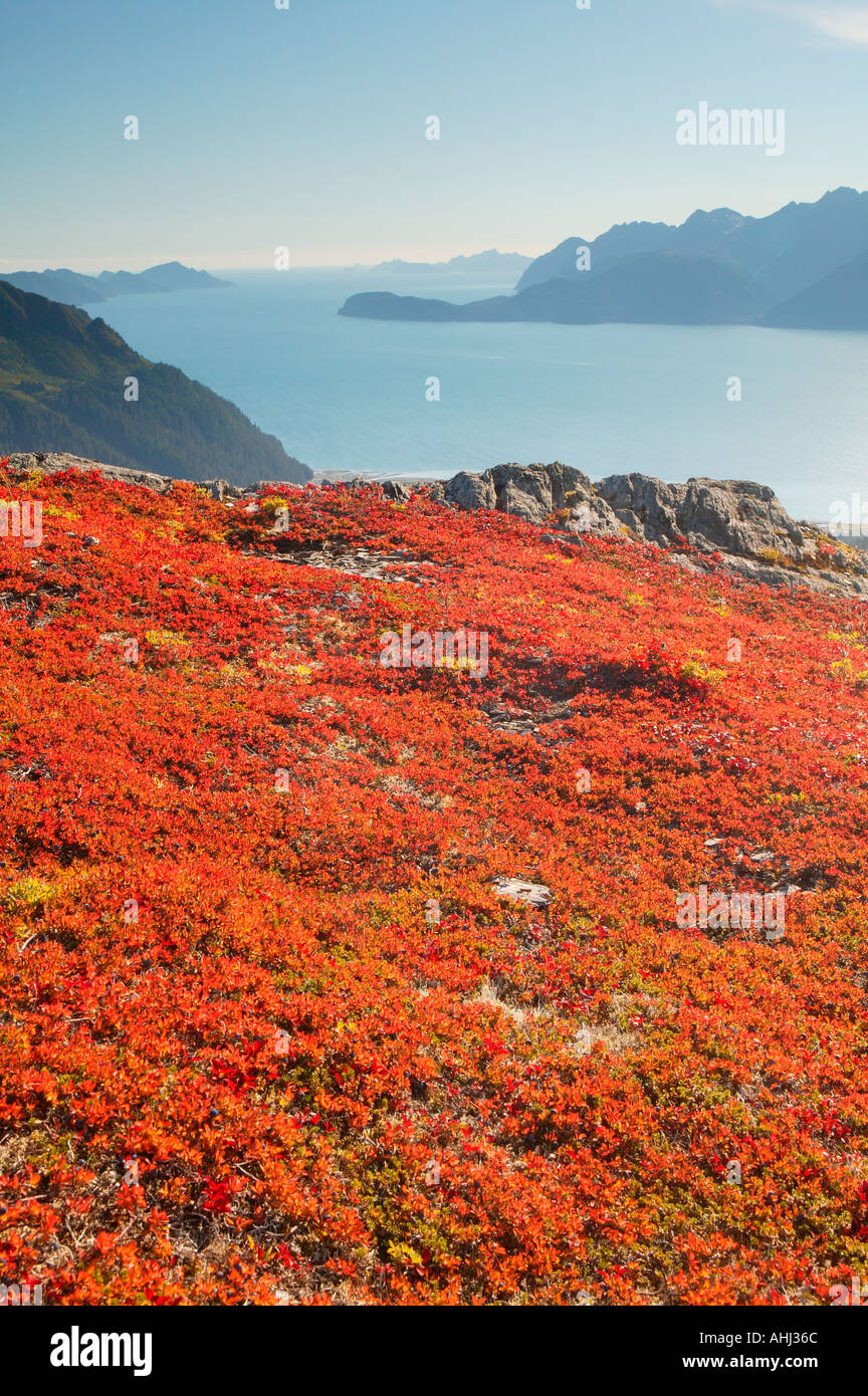 Fjord scenery with chugach mountains hi-res stock photography and ...