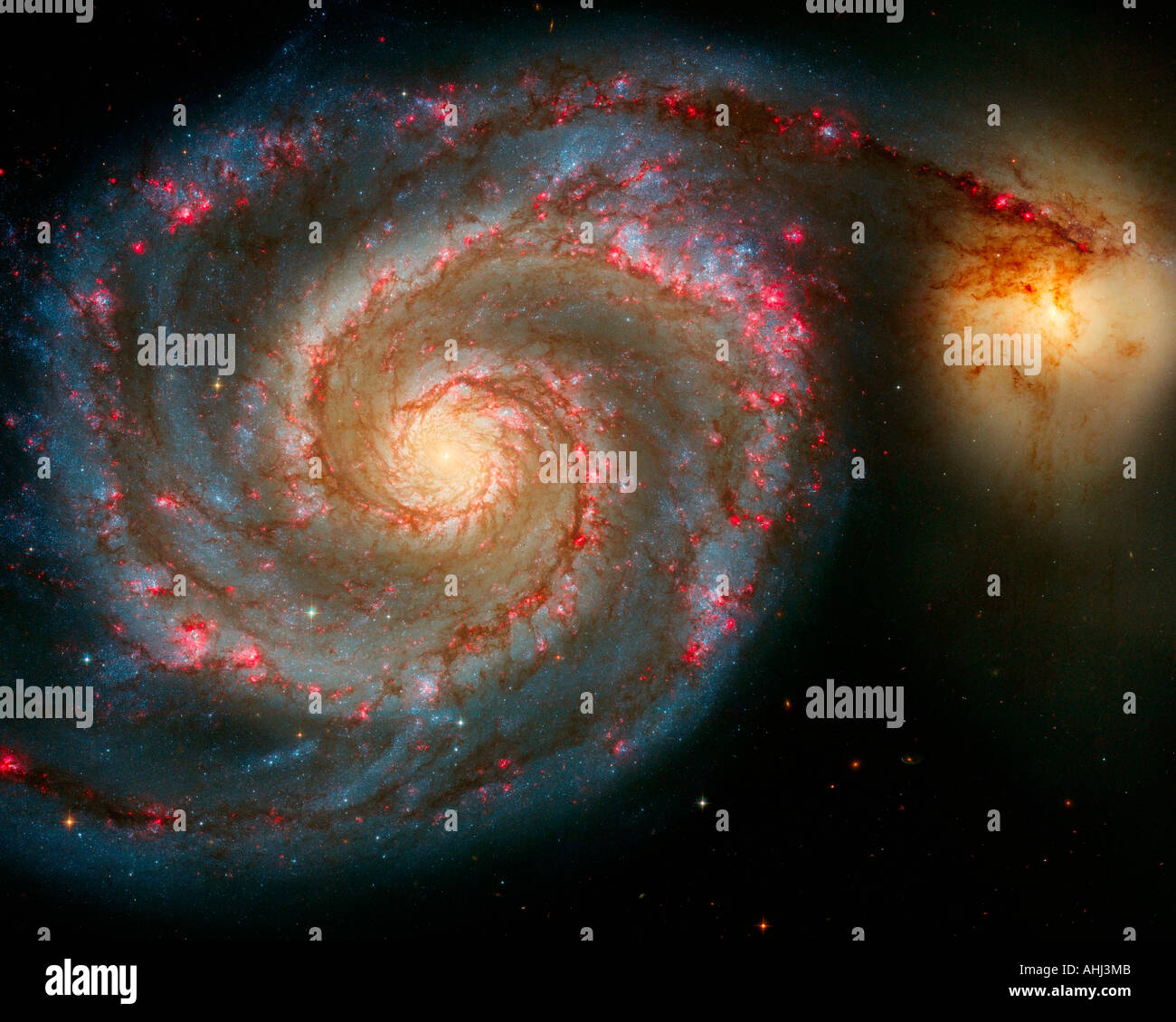 Companion star hi-res stock photography and images - Alamy