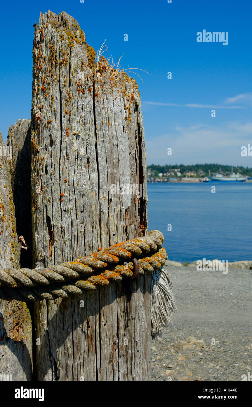 Post and shoreline Stock Photo - Alamy