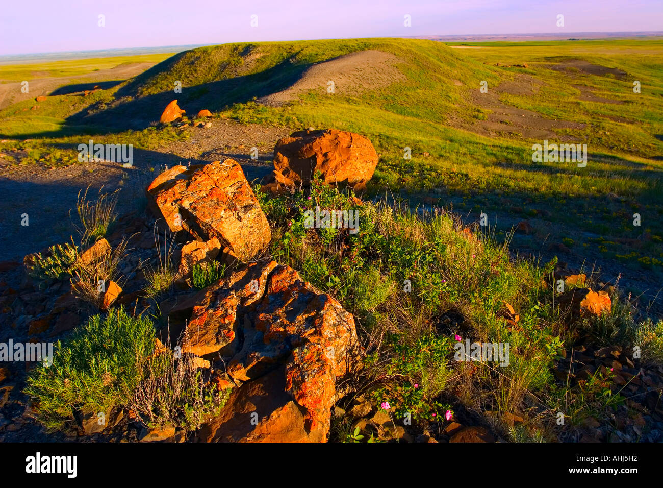 Coulee coulees landscape hi-res stock photography and images - Alamy