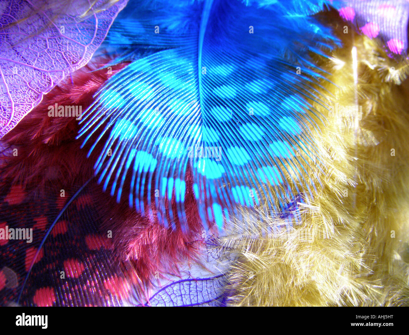 Tickle spot hi-res stock photography and images - Alamy