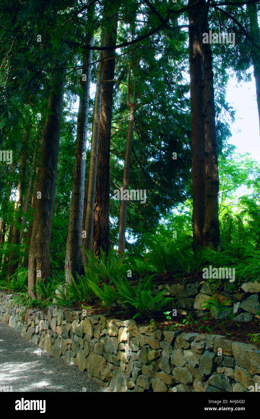 Stone wall and path along lush forest Stock Photo - Alamy