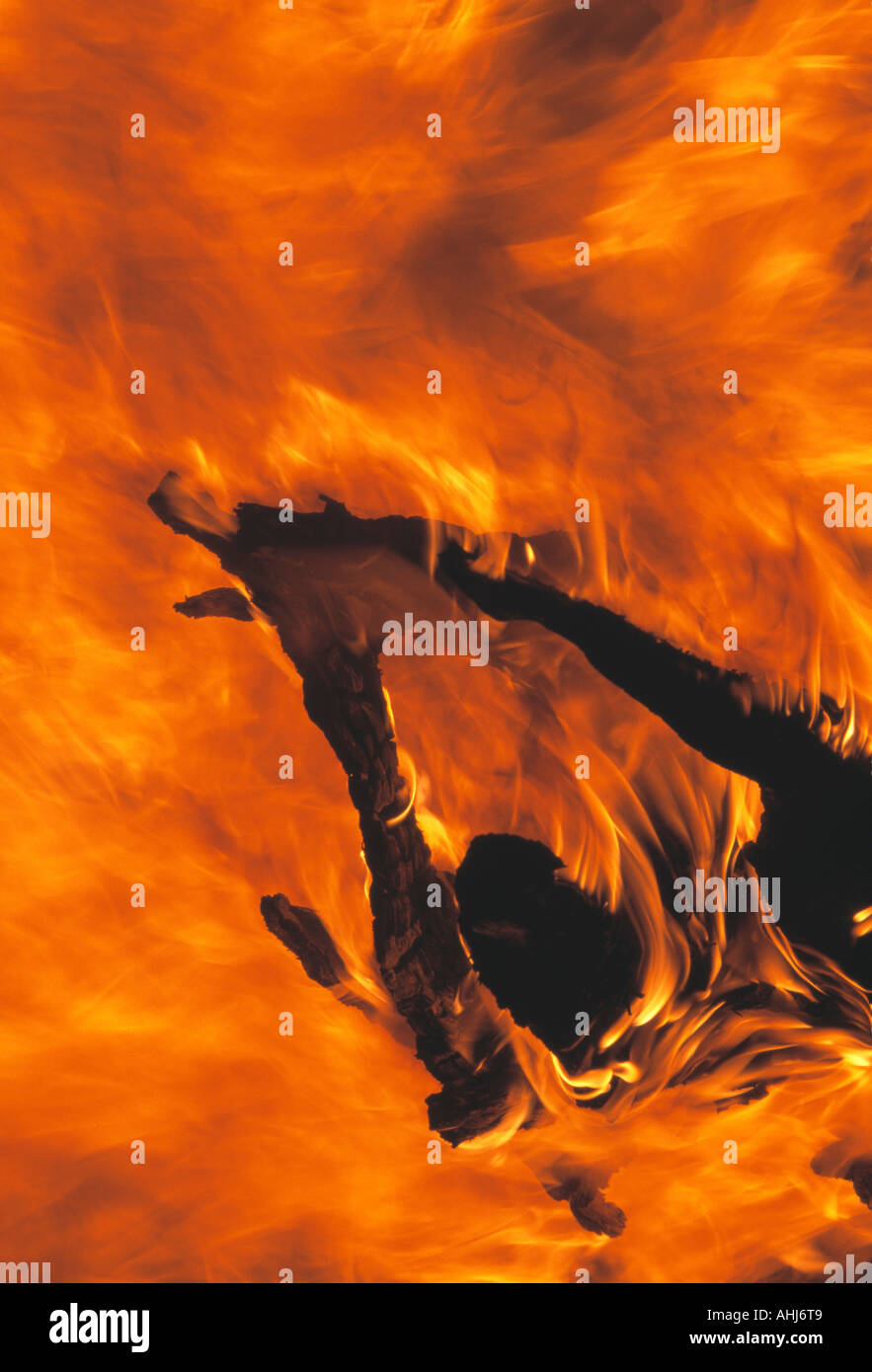 Burning tree stump Stock Photo - Alamy
