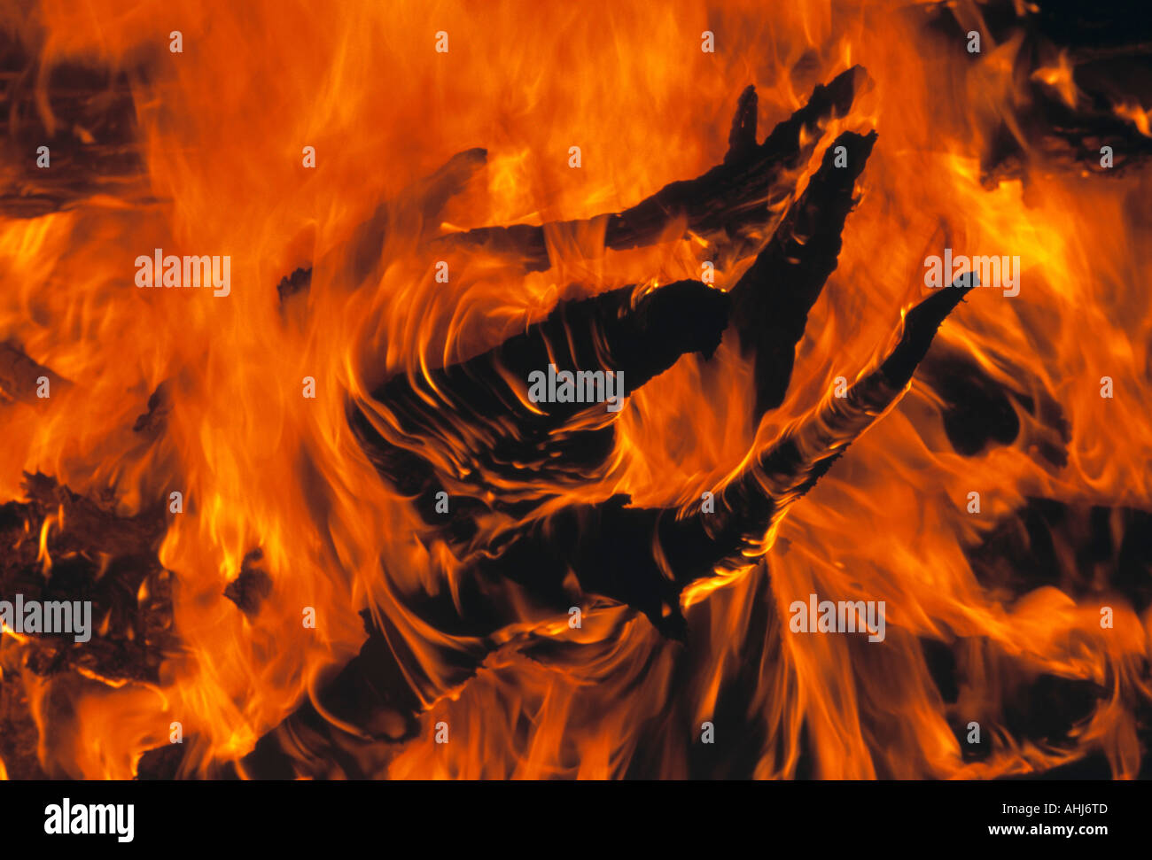 Burning tree stump Stock Photo - Alamy