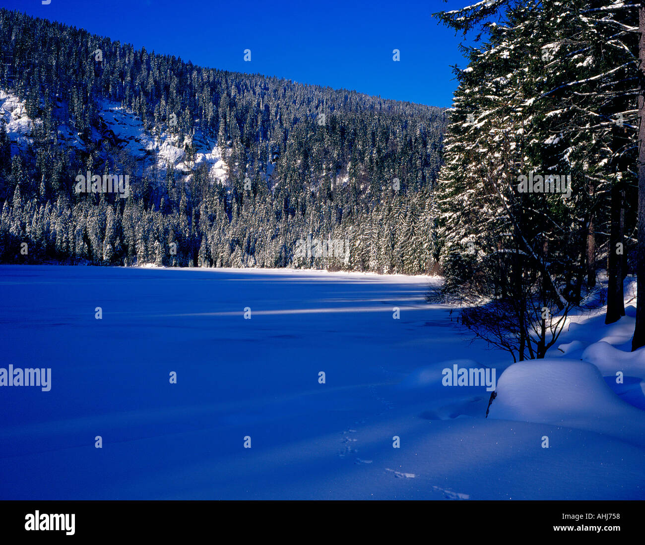 frozen lake Arber in winter, Bavaria Germany Europe. Photo by Willy ...