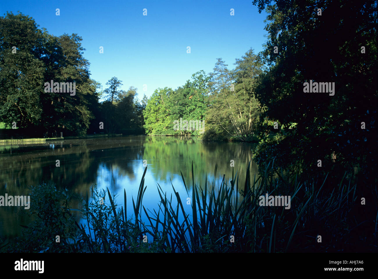 Hoddesdon hi-res stock photography and images - Alamy