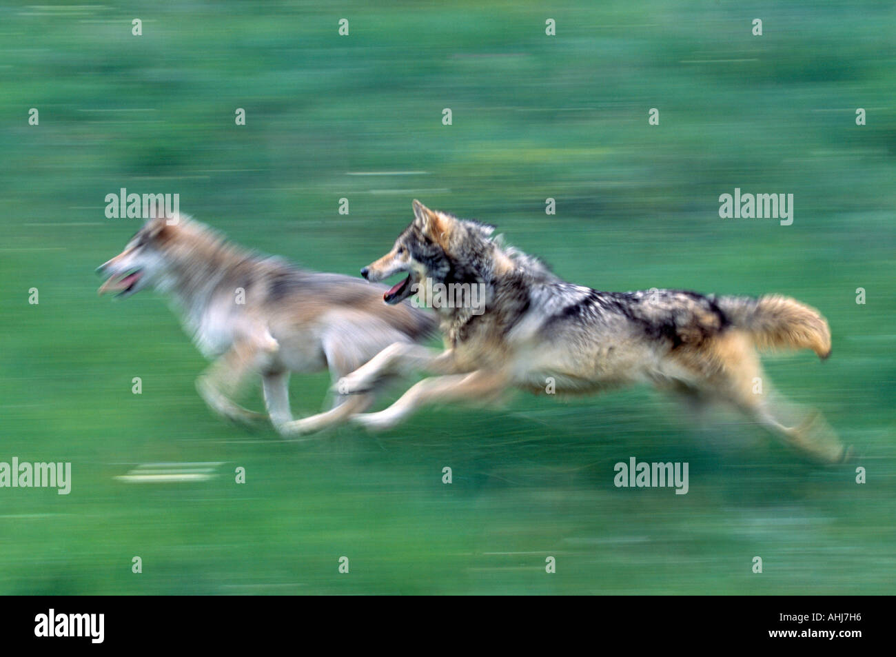David ponton hi-res stock photography and images - Alamy