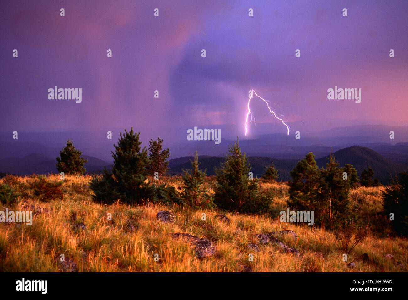 The lightning field mexico hi-res stock photography and images - Alamy