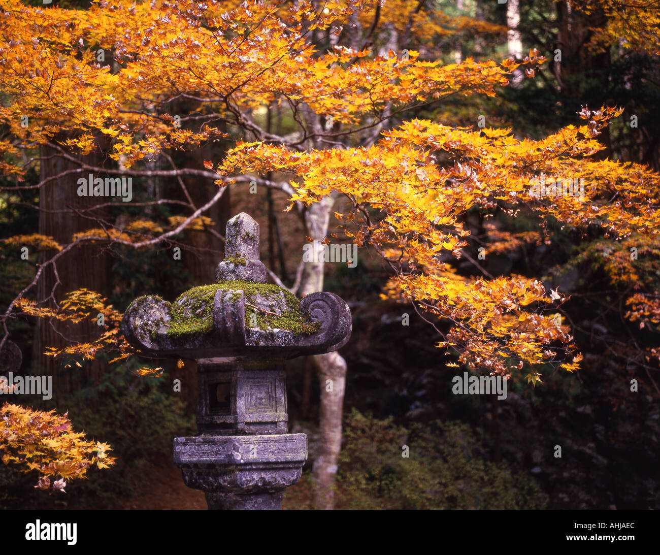 Japan Nikko stone lantern Stock Photo - Alamy