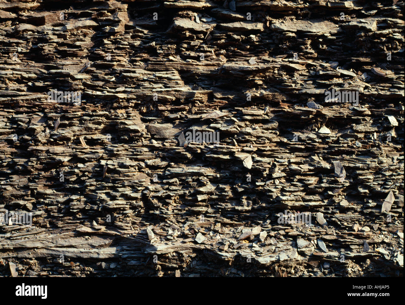 Siltstone and shale cliff Stock Photo - Alamy