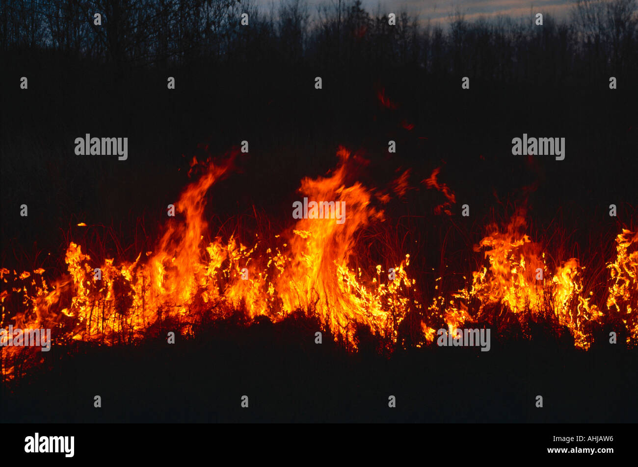 Burning field of grass Stock Photo - Alamy