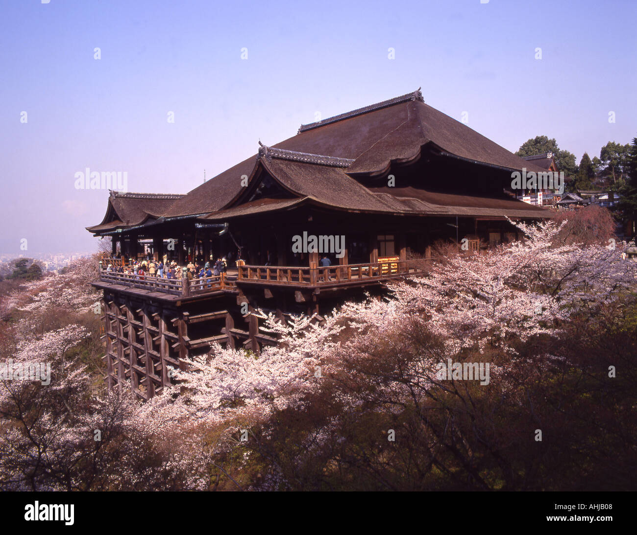 Cherry blossoms spring kiyomizu temple hi-res stock photography and ...