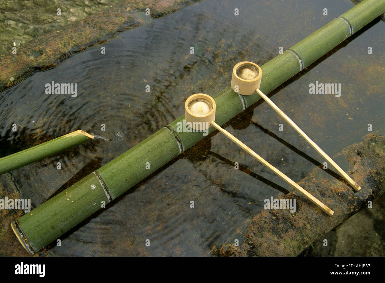 Temple gango ji hi-res stock photography and images - Alamy