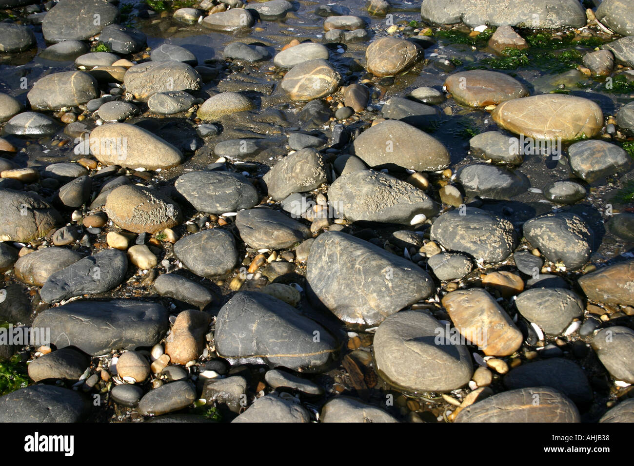 Different stones in clear water coast South Island New Zealand Stock ...