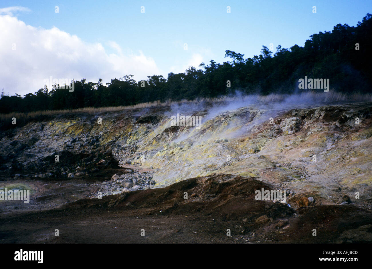 Sulphuric gases rising from Ha'akulamanu (Sulphur Banks) stained yellow ...