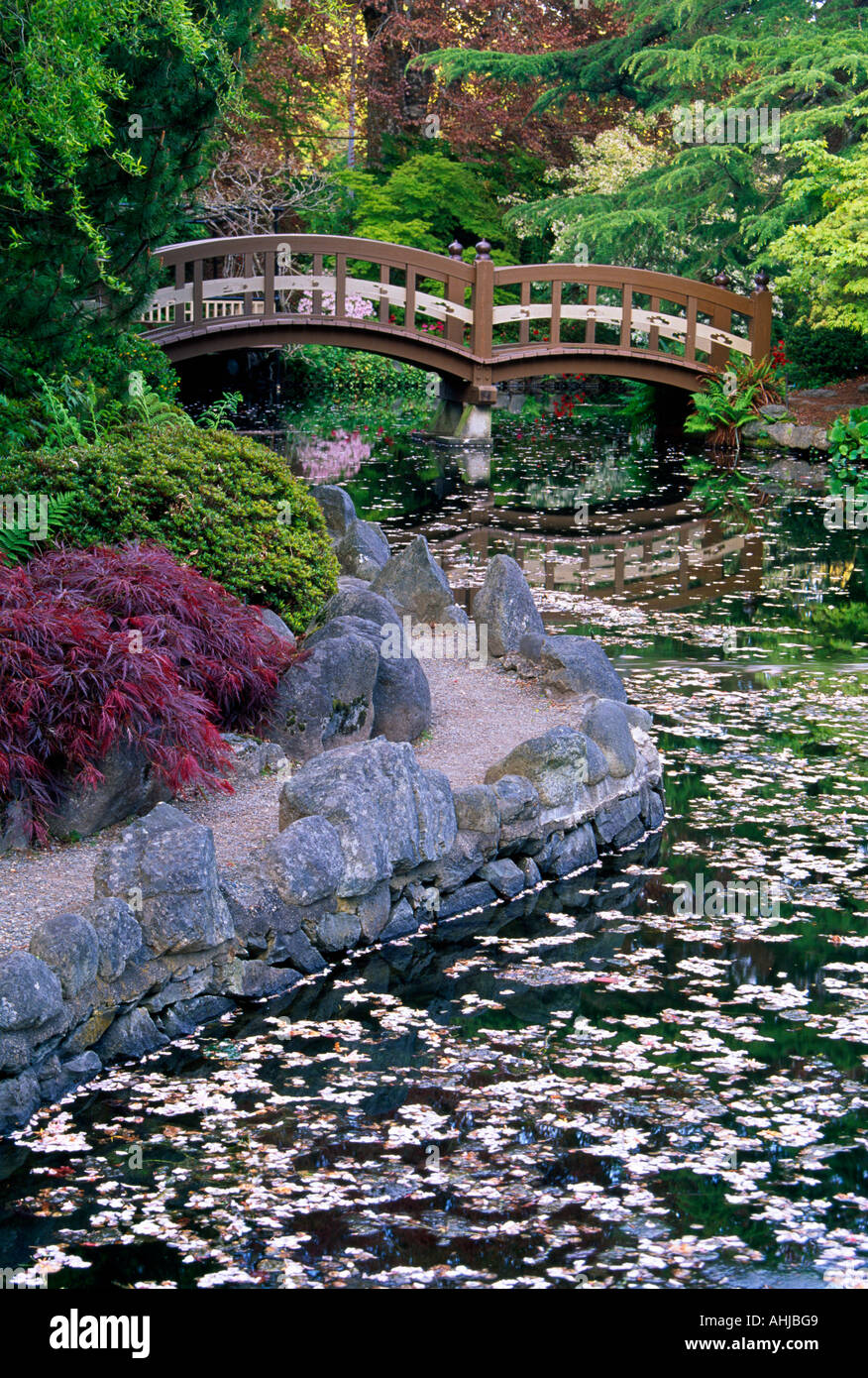 Japanese garden bridge over stream Royal Roads University Vancouver ...