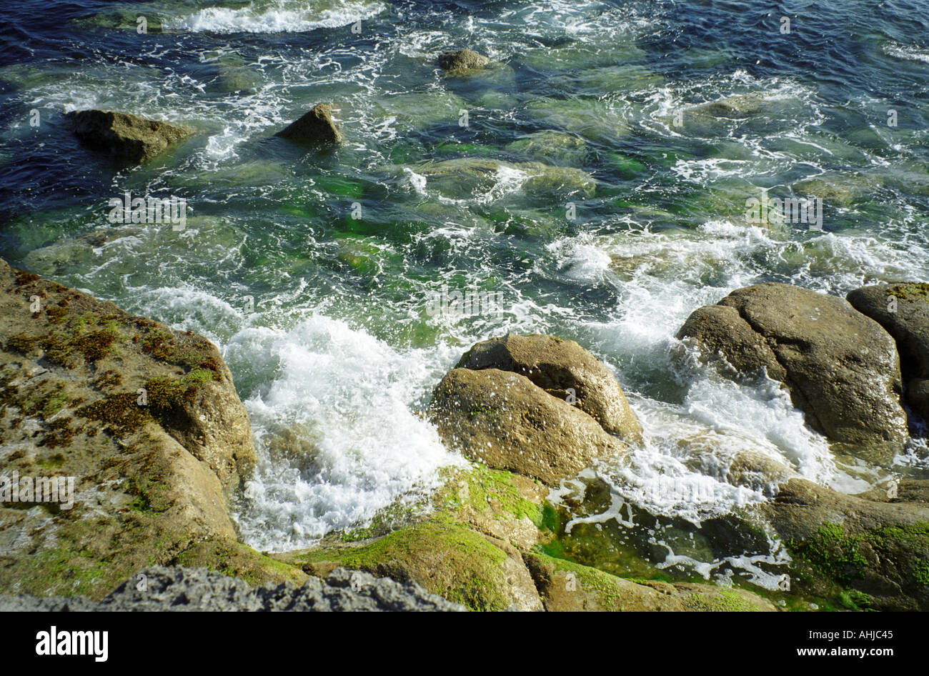 Rocky shore around portland hi-res stock photography and images - Alamy