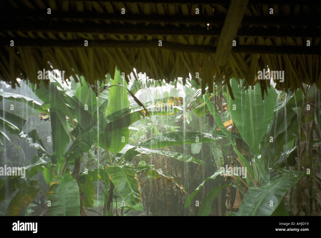 Brazil shack brasil hi-res stock photography and images - Alamy