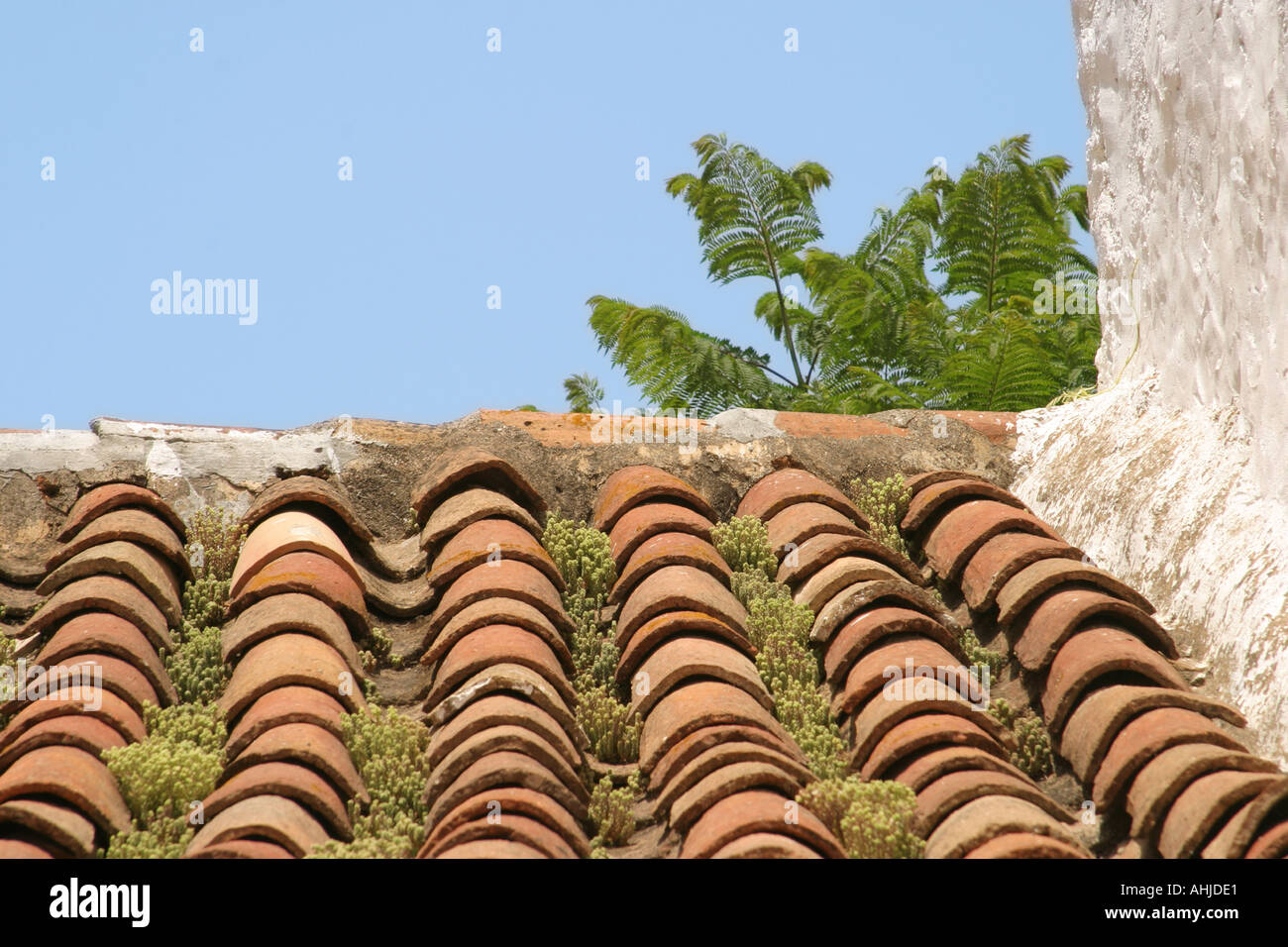 Typical Mediterranean roof tiles Spain Stock Photo - Alamy