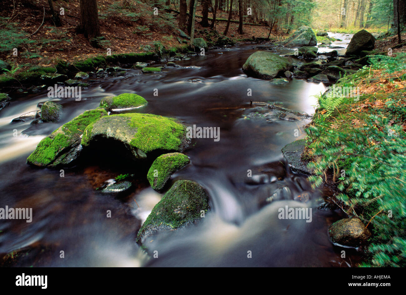 Rushing brooks hi-res stock photography and images - Alamy