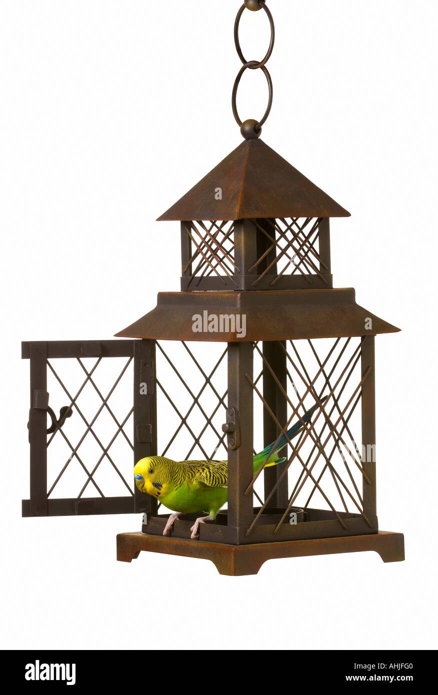 Octagon Bird Cage