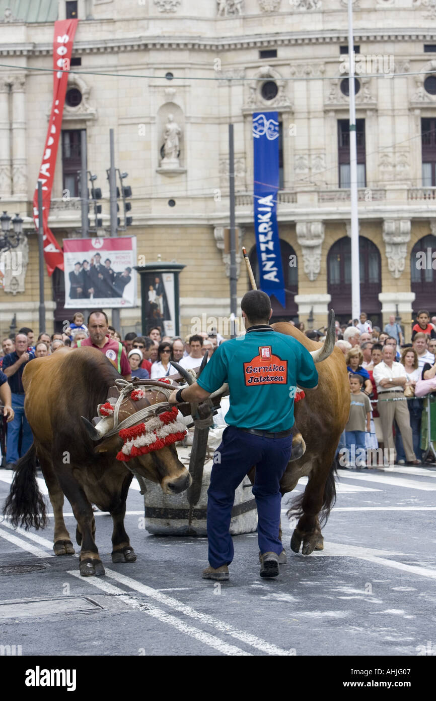 Two horned cows pull a granite block during the Basque Strong Man games ...