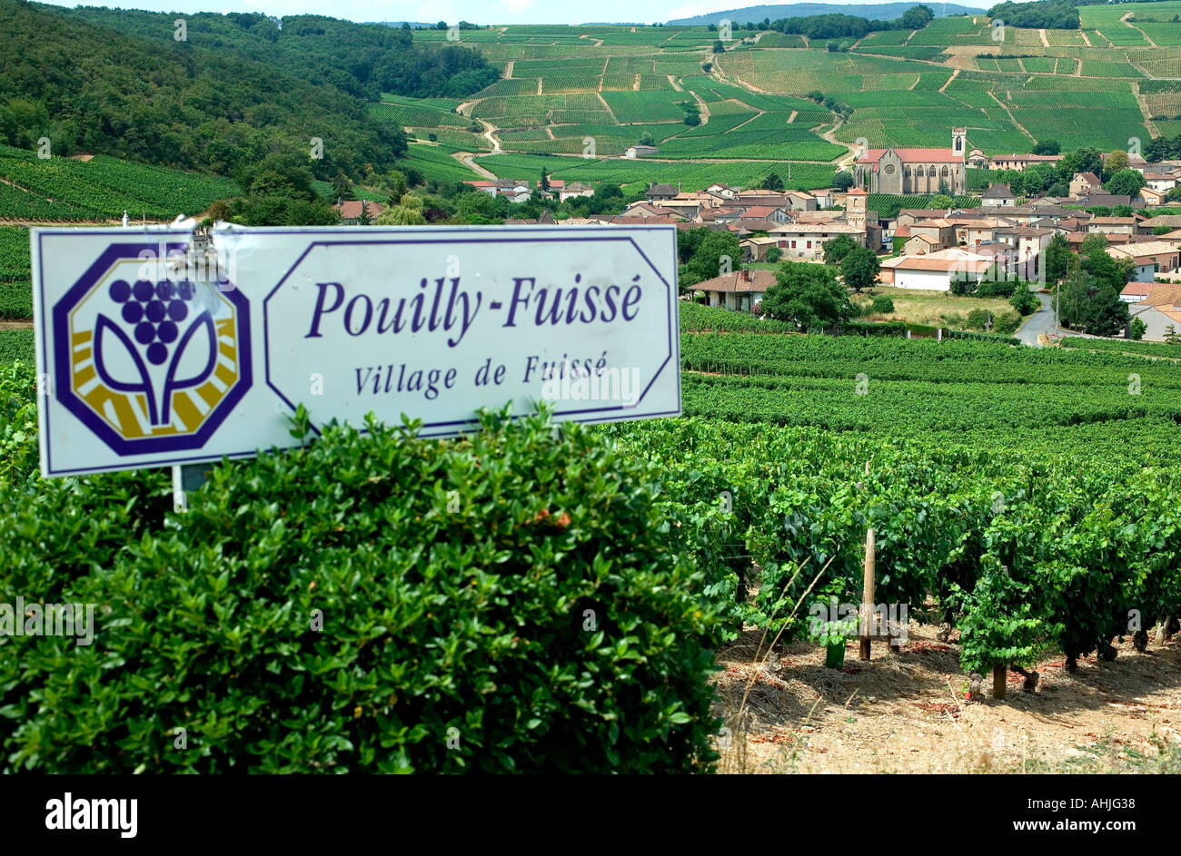 Pouilly fuisse vineyard hi-res stock photography and images - Alamy