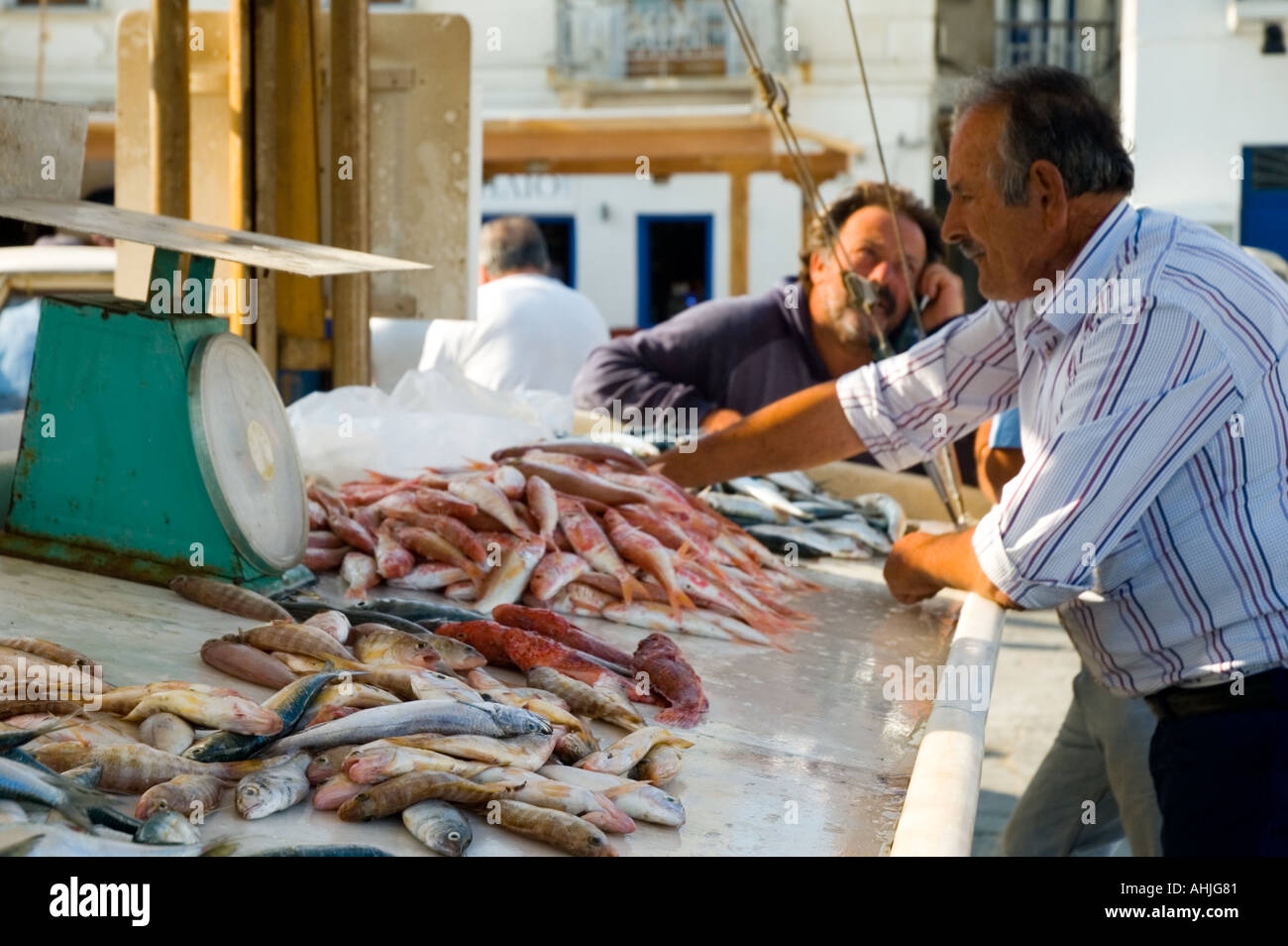 Fresh Fish Market Mykonos Town Mykonos The Cyclades Greek Islands ...