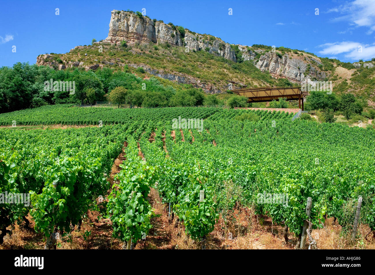 Maconnais hi-res stock photography and images - Alamy