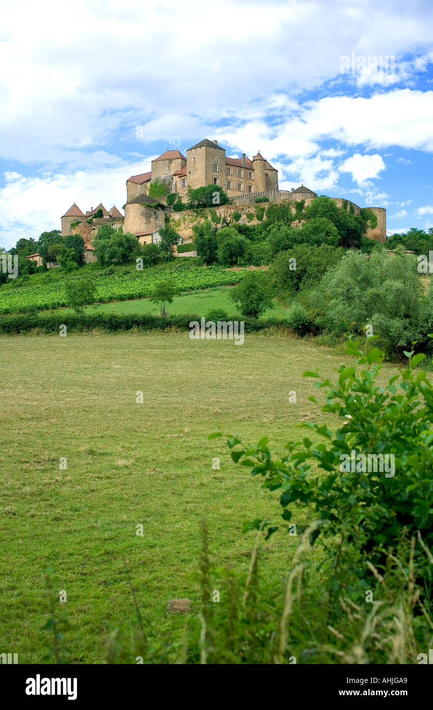 FIELDS AND PIERRECLOS CASTLE 14th Century MACONNAIS WINE COUNTRY ...