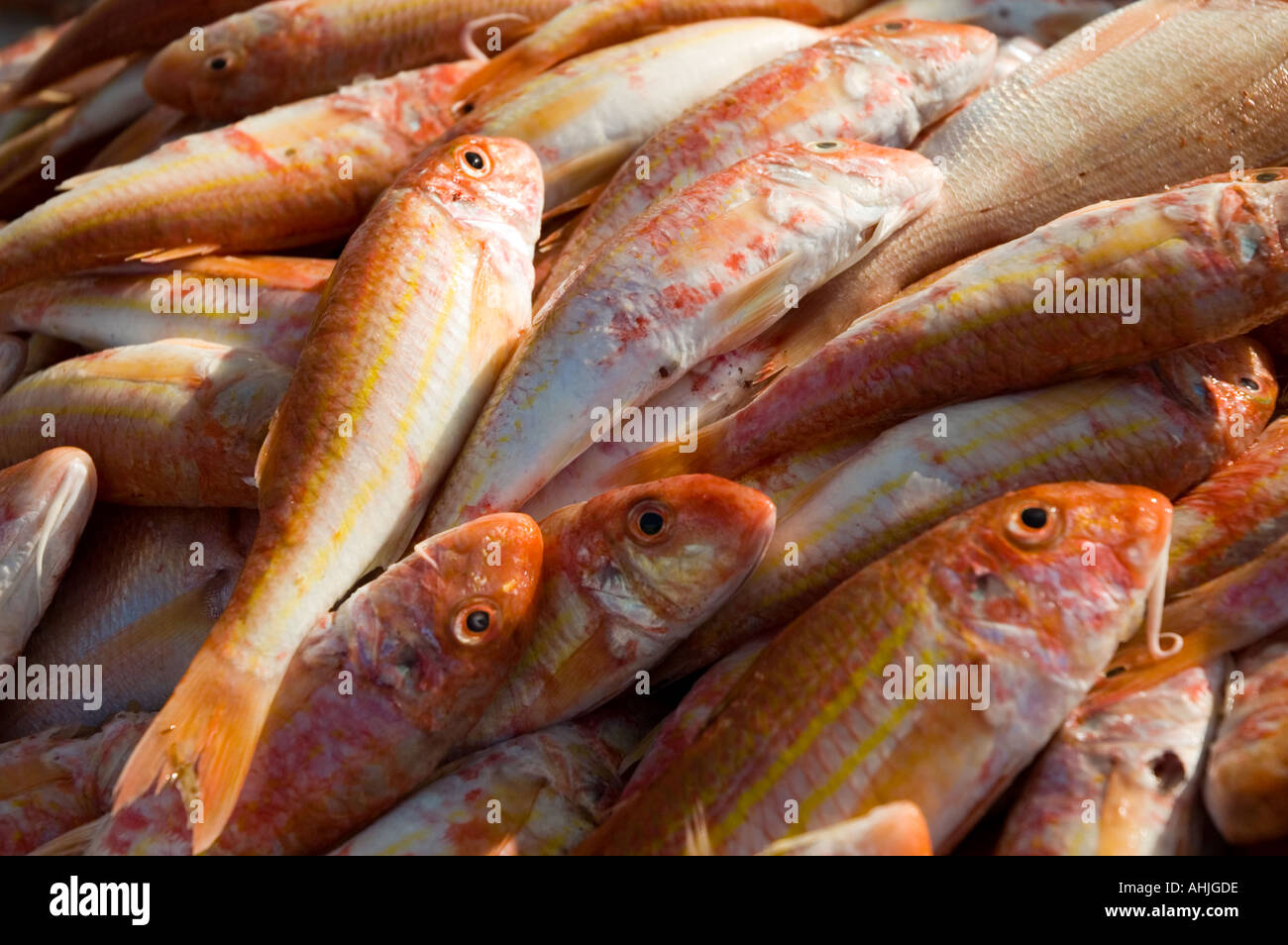 Fresh Fish for sale in market Mykonos Town Mykonos The Cyclades Greek ...