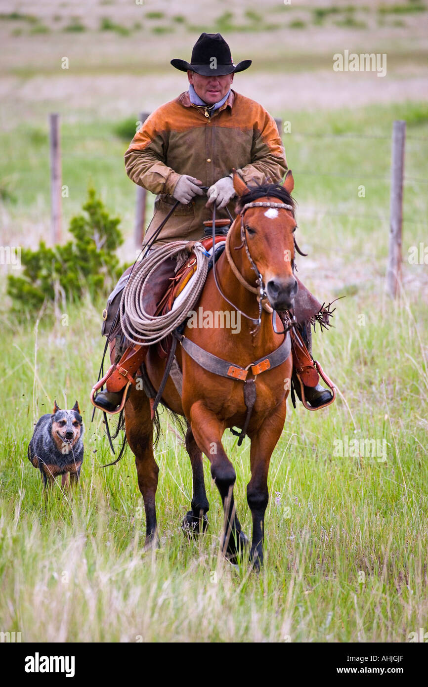Rancher on horseback Stock Photo - Alamy