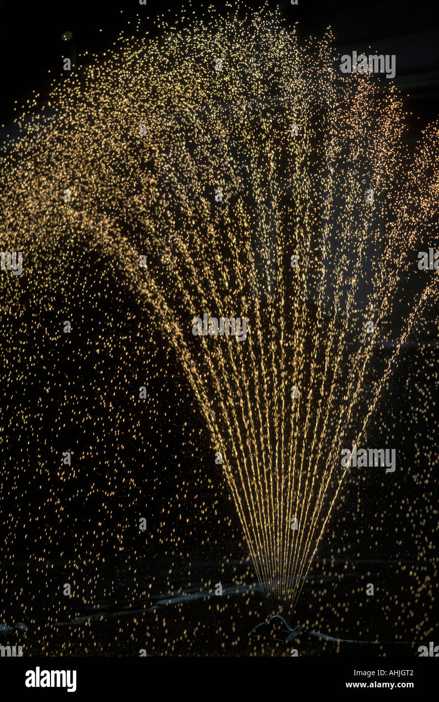 USA Washington Seattle Setting sun lights water spraying from water ...
