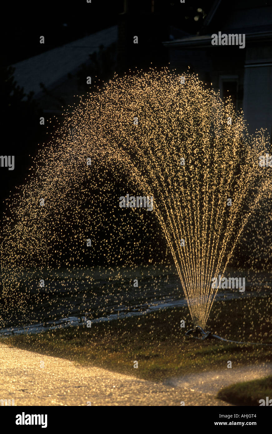 USA Washington Seattle Setting sun lights water spraying from water ...