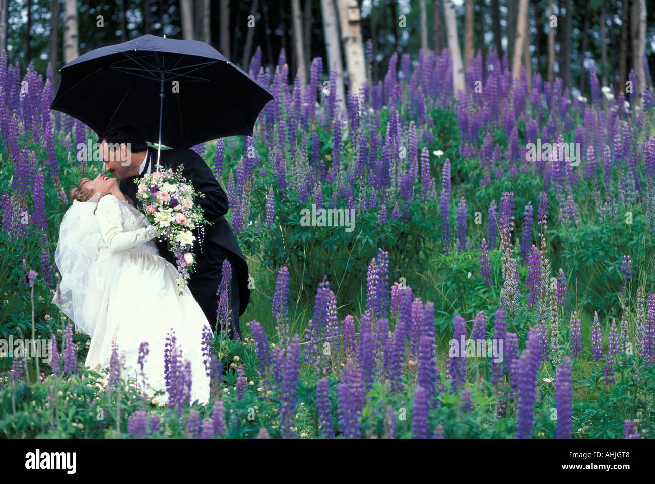 USA Alaska Anchorage MR Gail David Springer stand in wildflowers on ...
