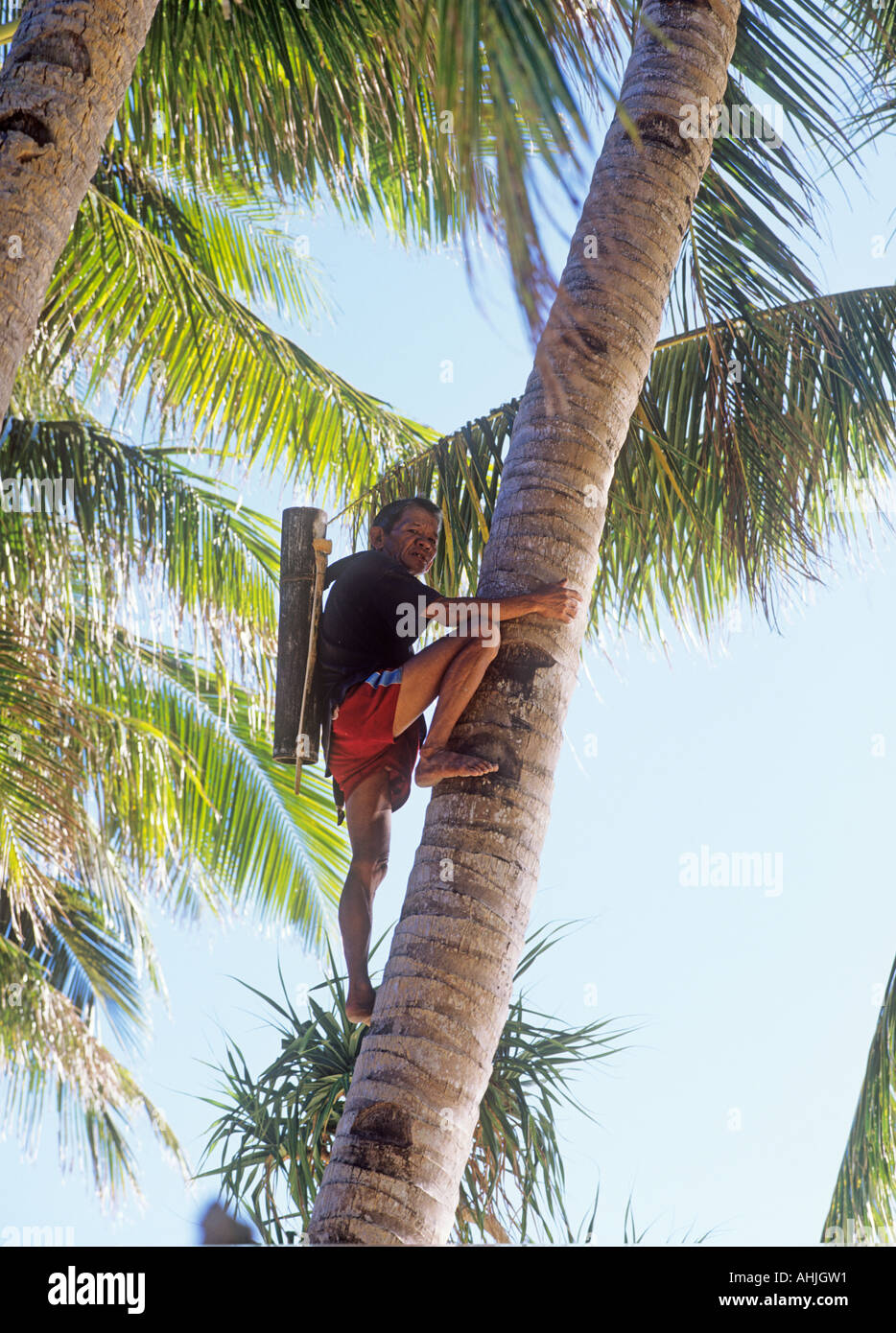Philippines Coconut Farmer High Resolution Stock Photography and Images ...