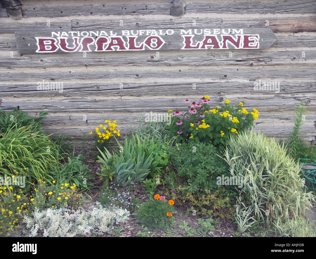 National Buffalo Museum Stock Photo - Alamy