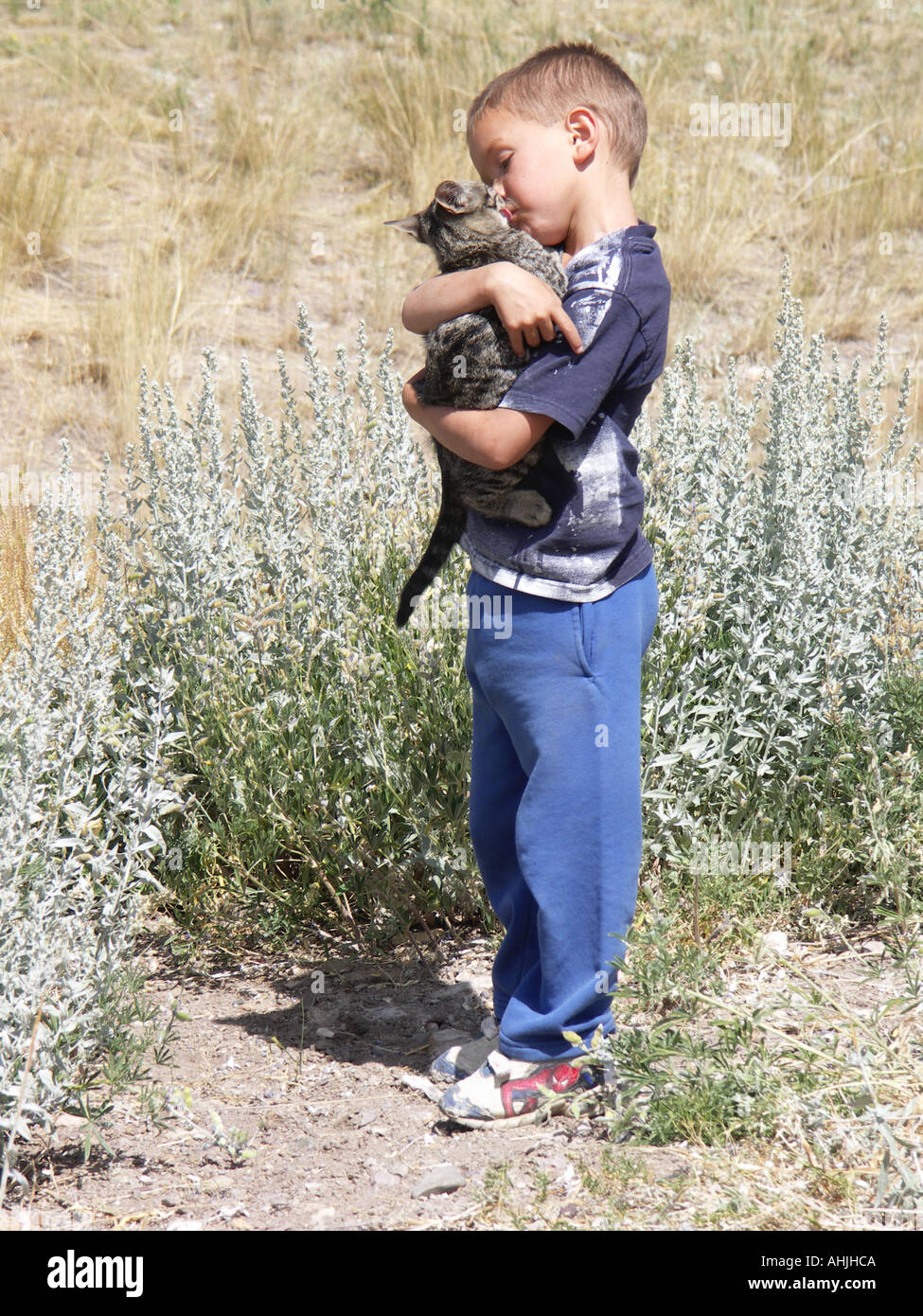 Little Boy Hugging Cat Stock Photo - Alamy