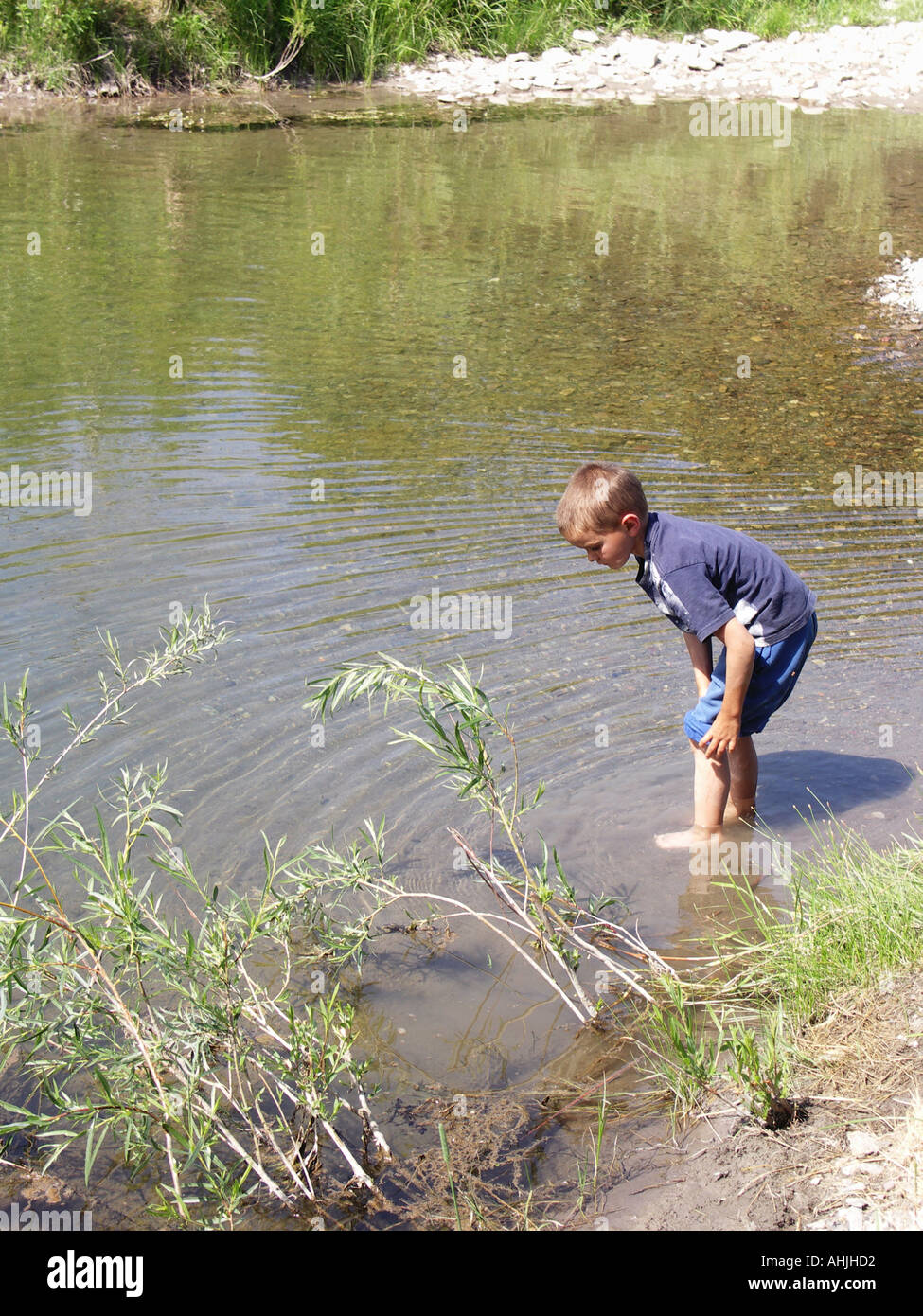 Looking in Water Stock Photo - Alamy