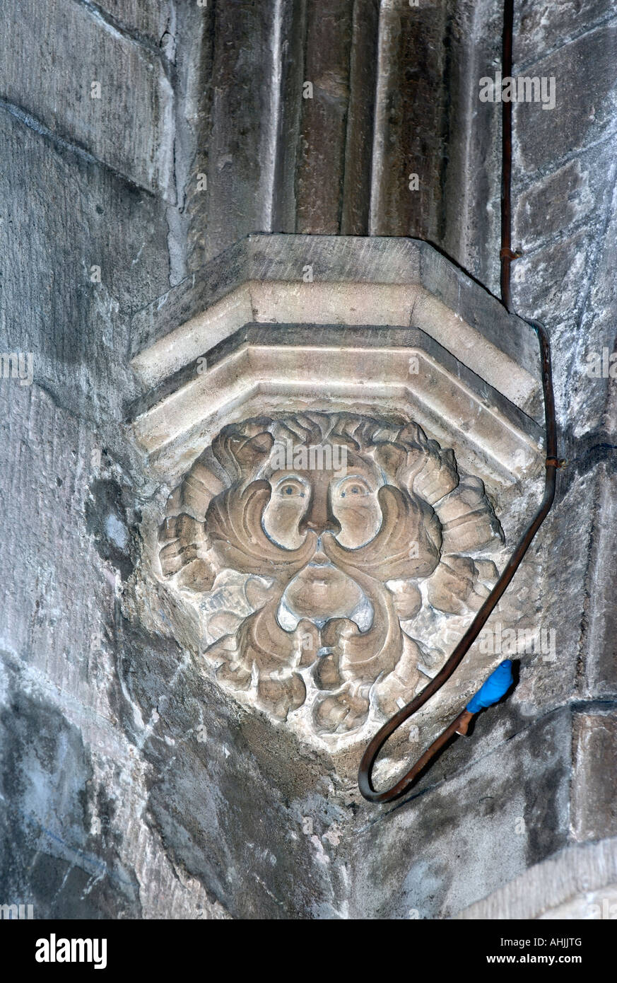 Green man carving foliate hi-res stock photography and images - Alamy