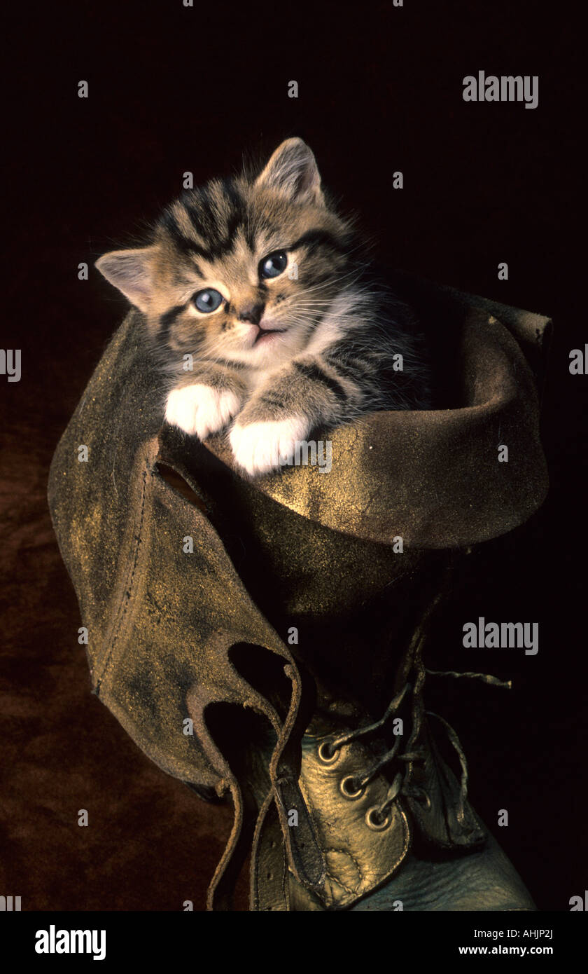 Junge im boot hi-res stock photography and images - Alamy