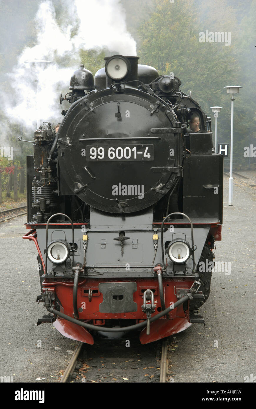 HSB Steam Engine 99 6001 in Alexisbad Stock Photo - Alamy