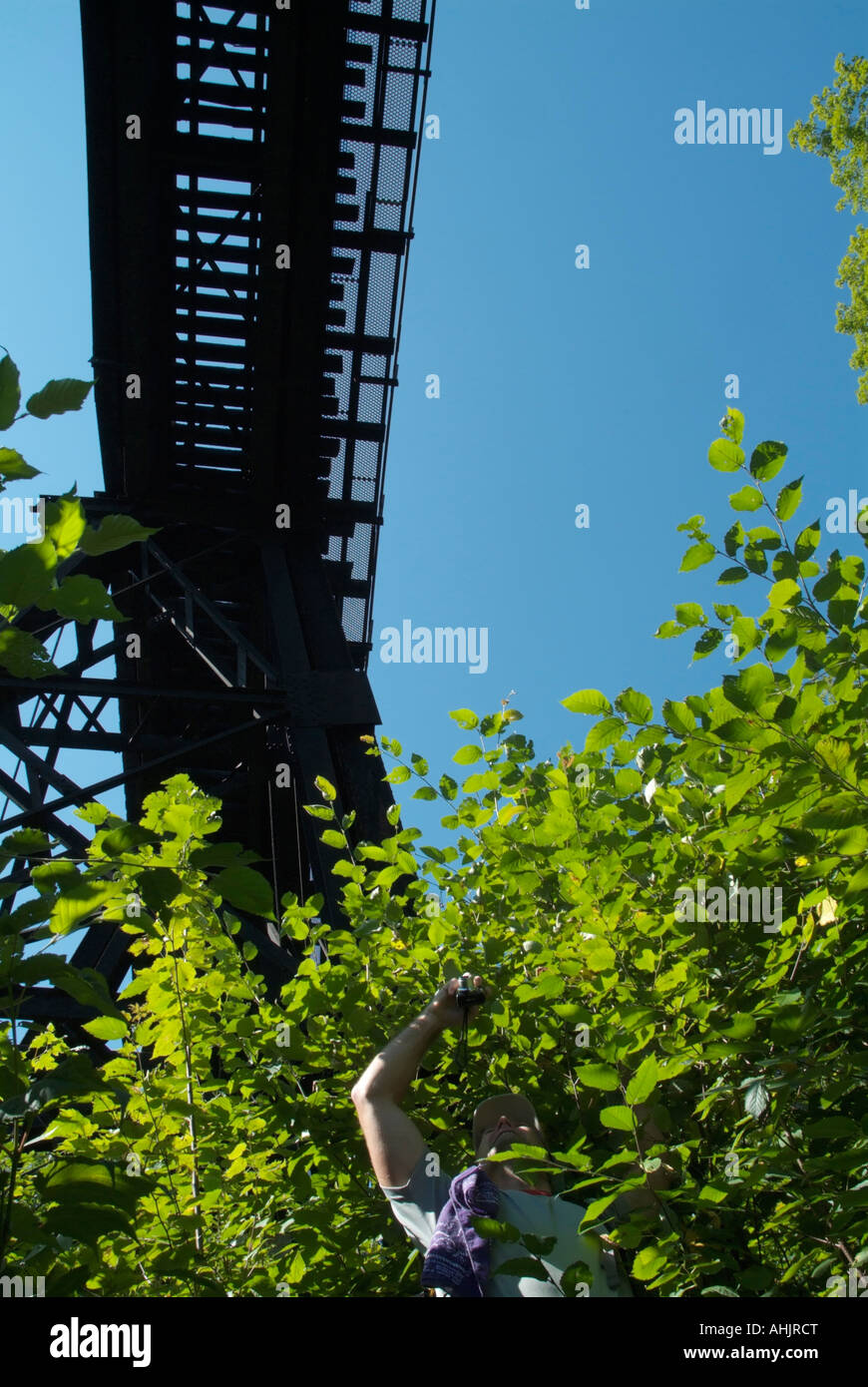 Train trestle from Frankenstein Cliff Trail during the summer months in ...